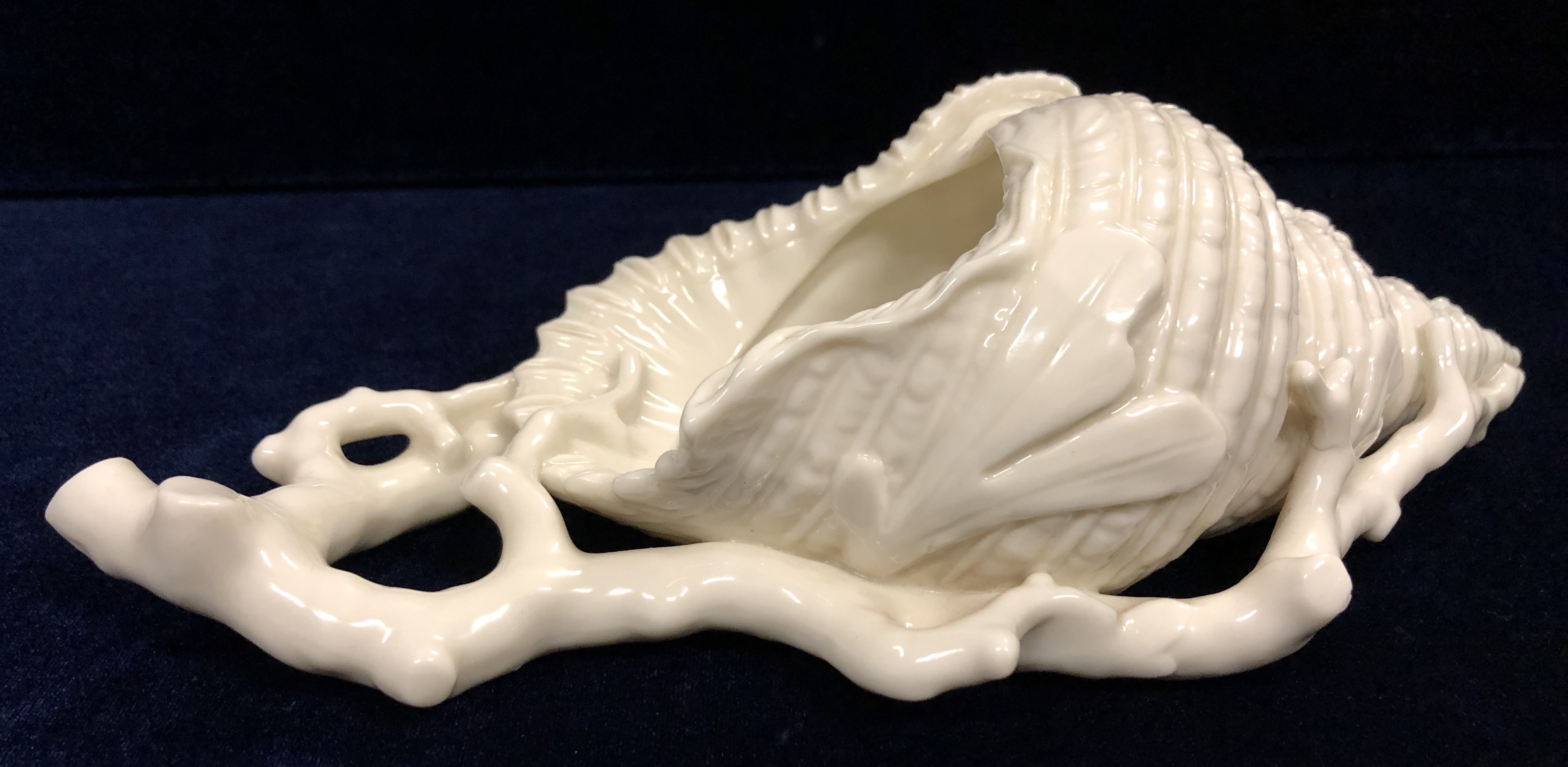 Royal Worcester Conch Shell & Coral Wall Pocket Dated 1877 | AFC