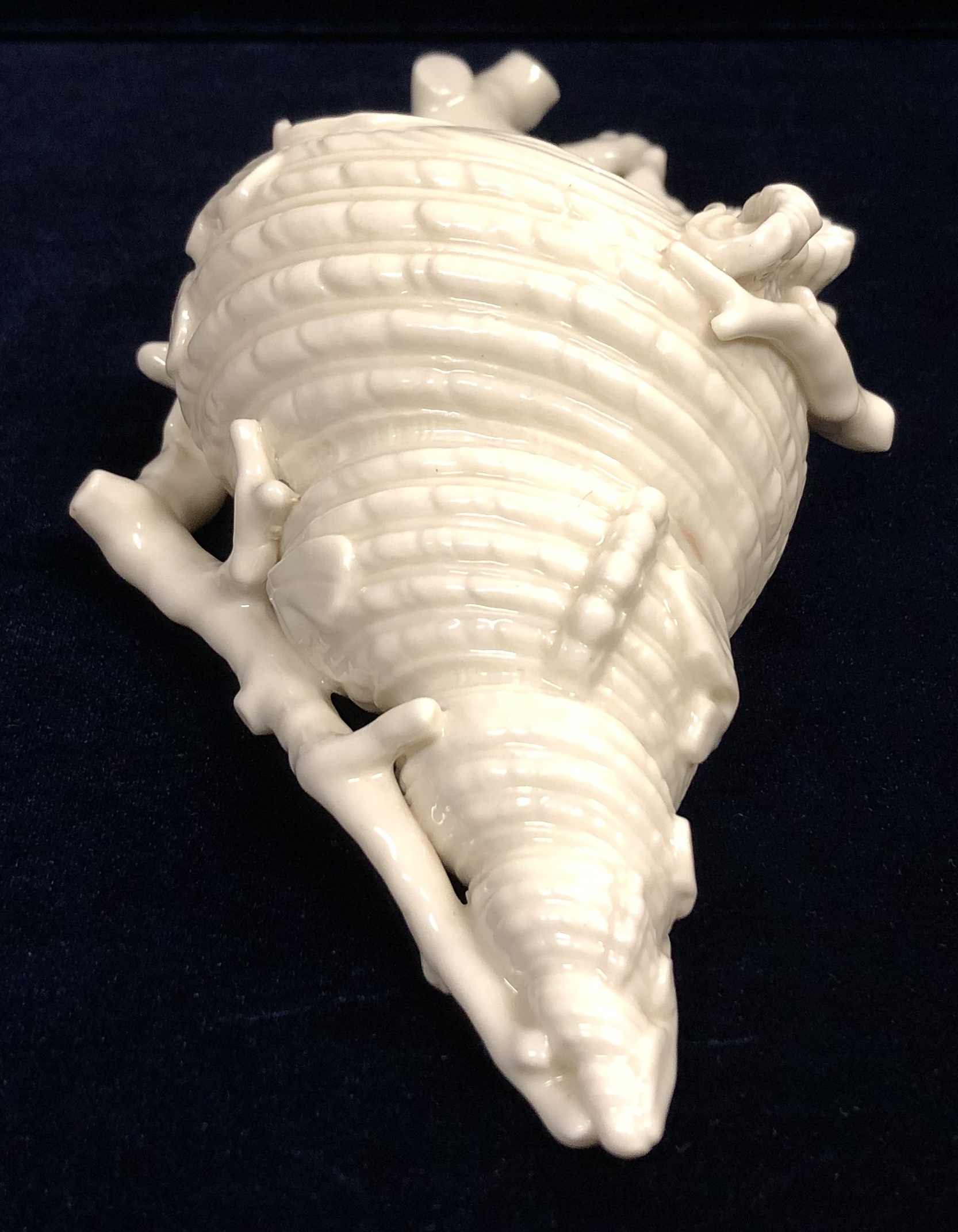 Royal Worcester Conch Shell & Coral Wall Pocket Dated 1877 | AFC