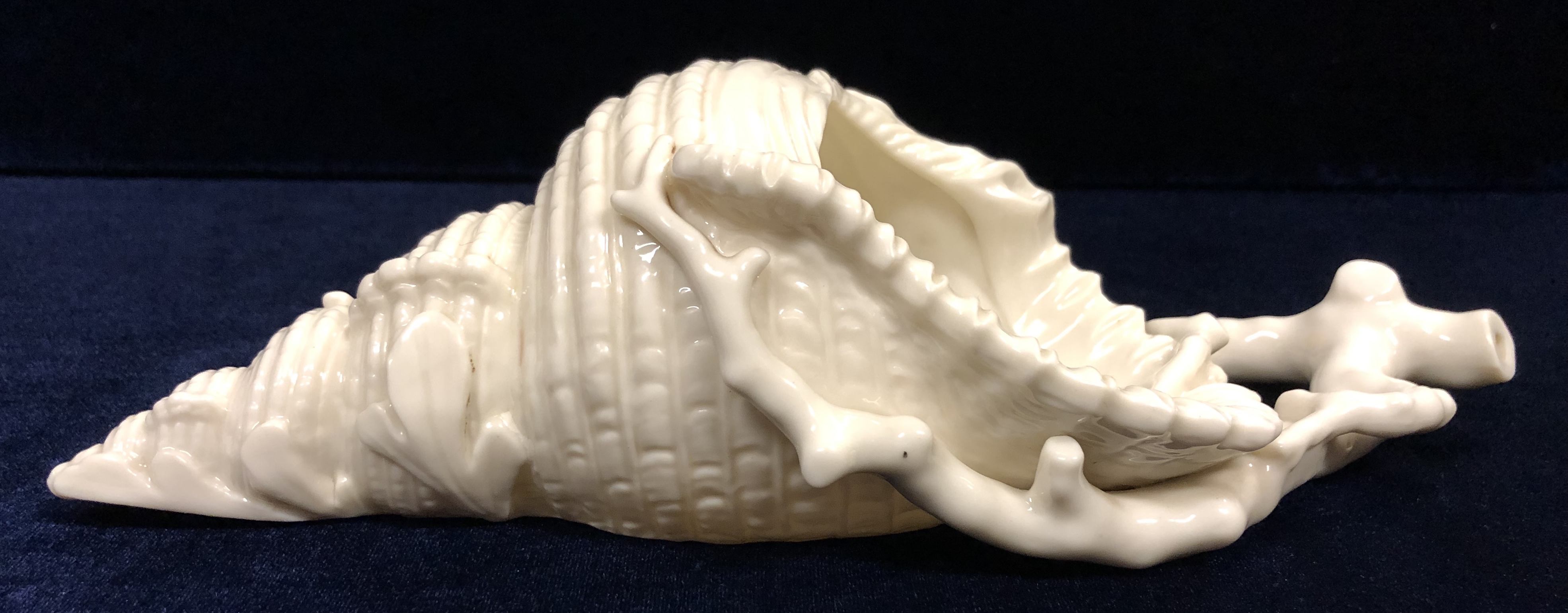 Royal Worcester Conch Shell & Coral Wall Pocket Dated 1877 | AFC
