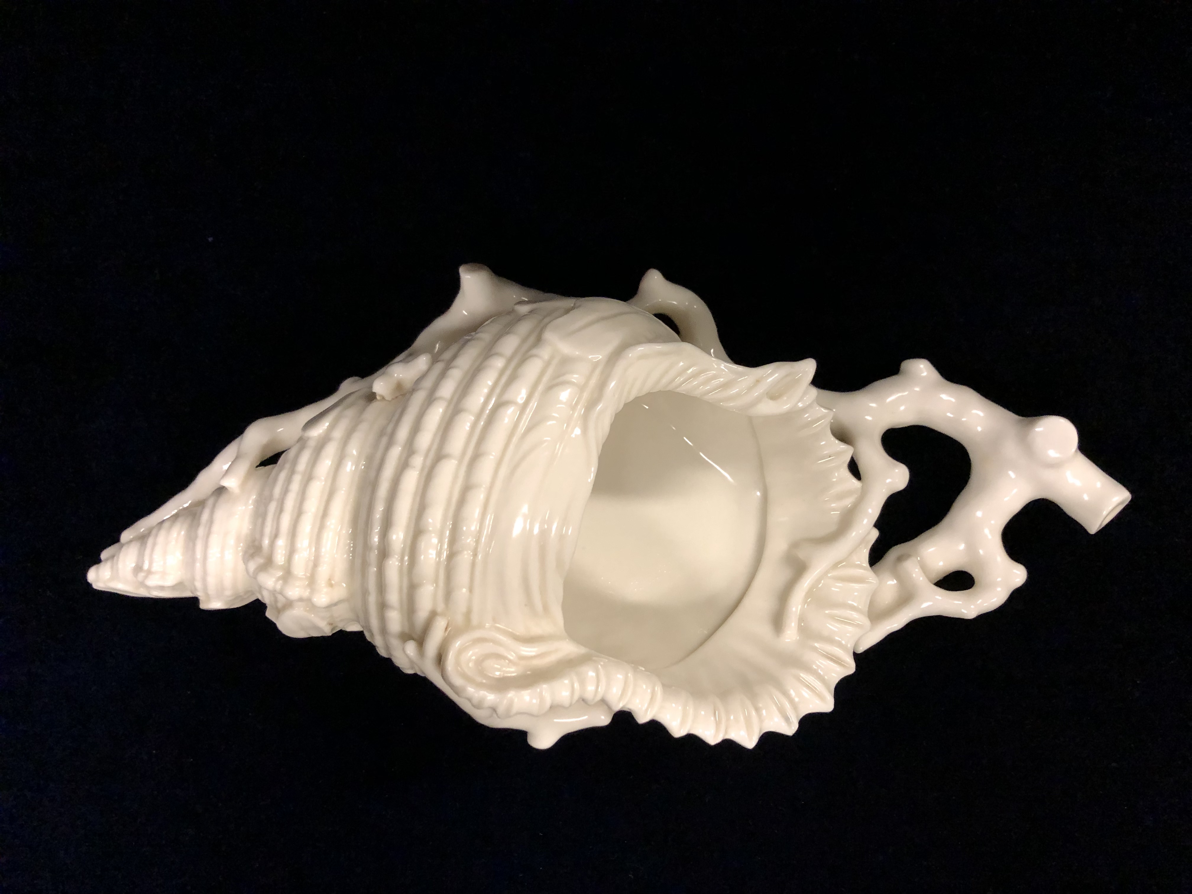 Royal Worcester Conch Shell & Coral Wall Pocket Dated 1877 | AFC