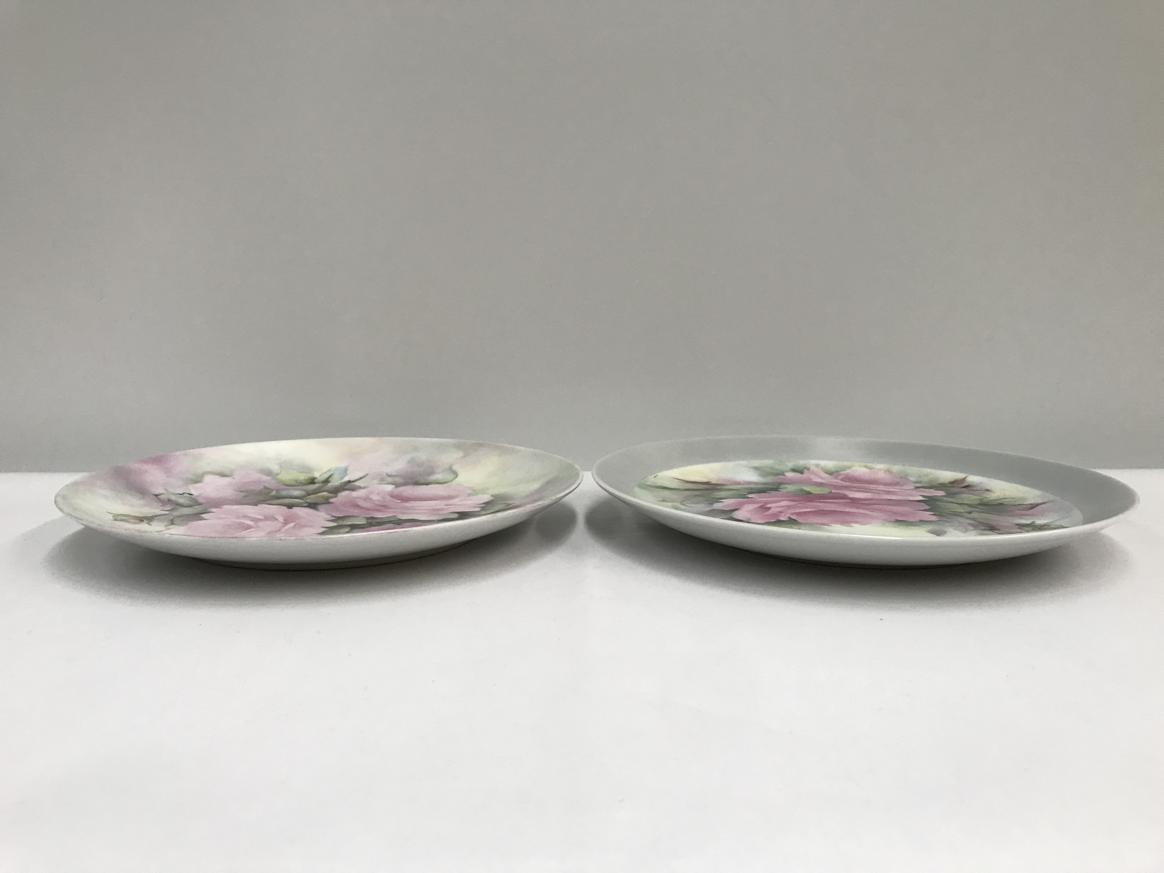 Two Vintage Arzberg German Hand painted Floral Plates By Nancy Rosewall ...